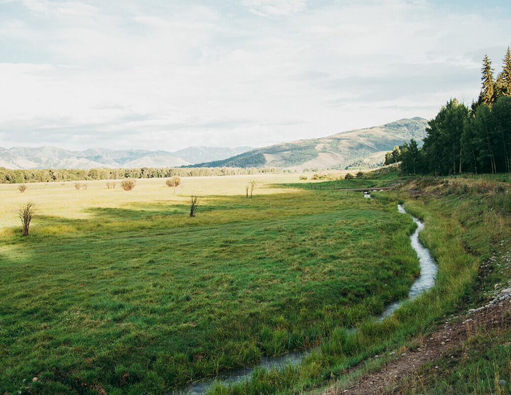 Growing Our Conservation Impact in 2023 - Jackson Hole Land Trust