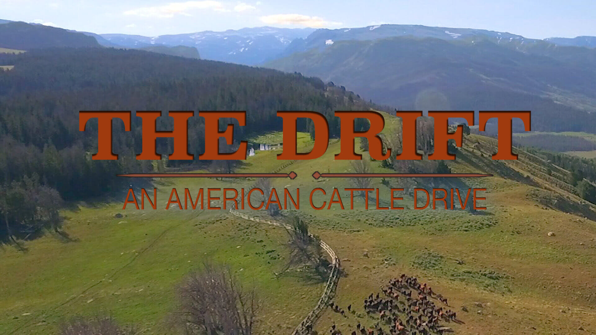 Home - Jackson Hole Land Trust