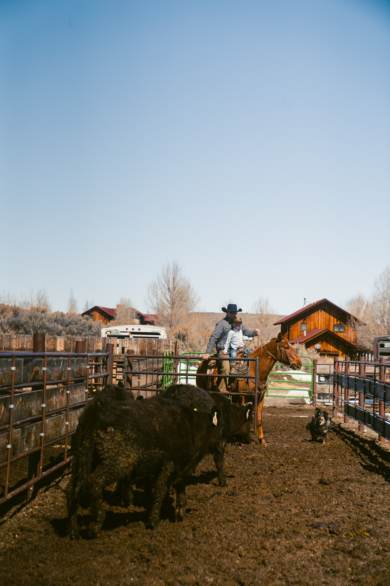 The Double J: A Piece of the Puzzle - Jackson Hole Land Trust